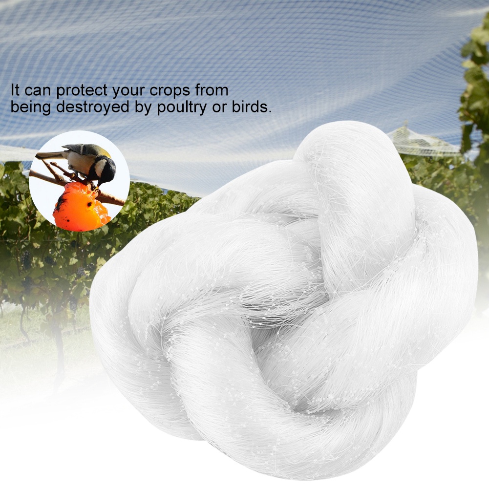 [CSS] 2*3m Anti Bird Mesh Garden Bird Netting Crops Fruits Vegetables ...