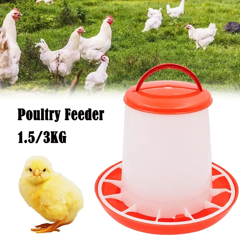 1.5/3KG Poultry Feeder Chicken Bucket Automatic Drink Feeding Goose ...