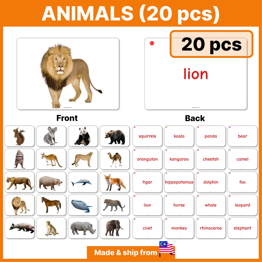 Animals Flash Card for Kids, Ocean Animals Baby Animals Big Flash Card ...