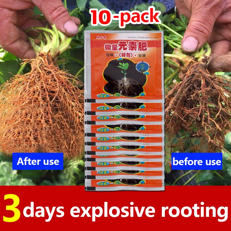 【3 days skyrocketing root】rooting king penggalak akar pokok rooting ...