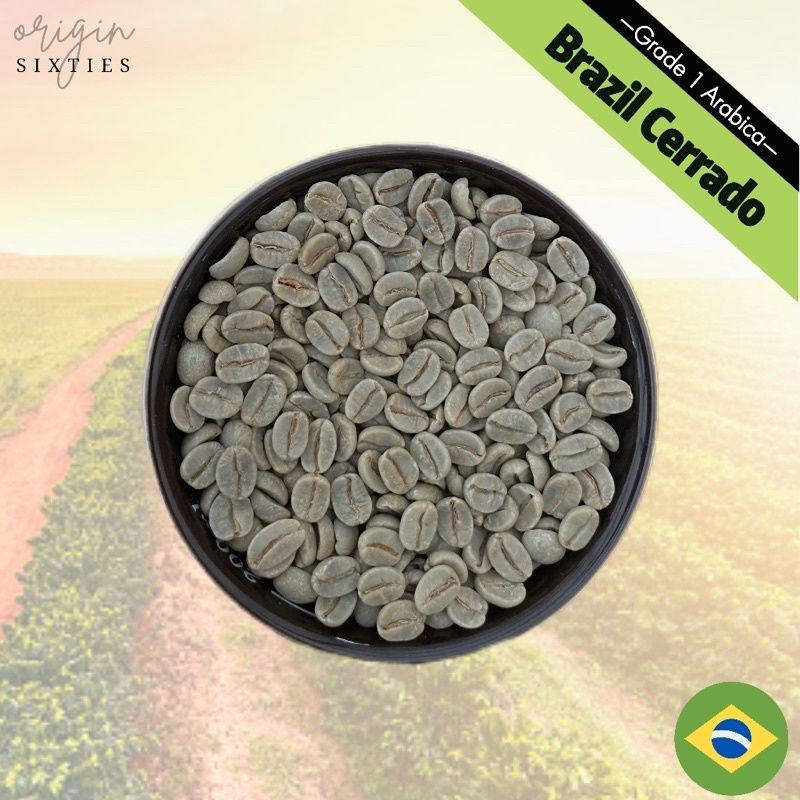 Brazil Cerrado Raw Unroasted Arabica Coffee Beans 500g 1kg | Shopee ...