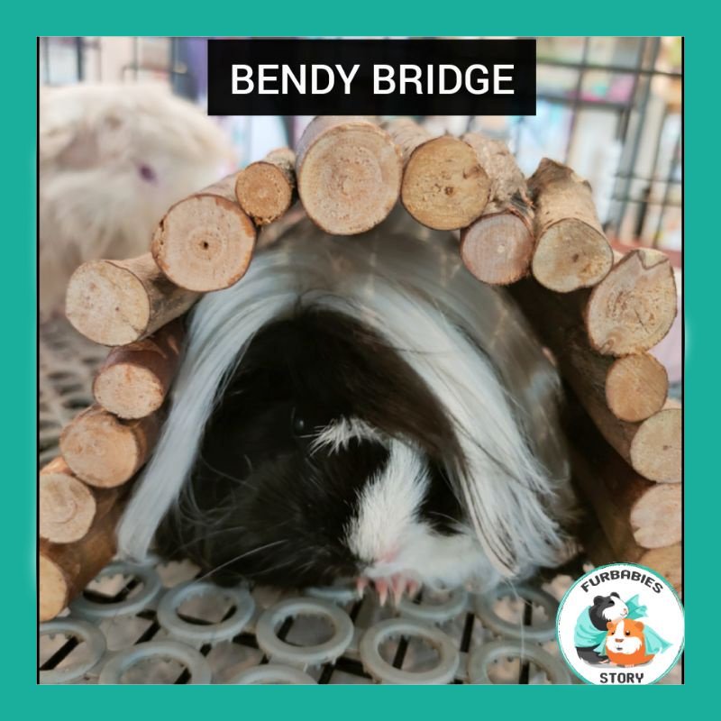 Living World Treehouse Logs Hamster Bendy Wooden Bridge Wooden Ladder ...