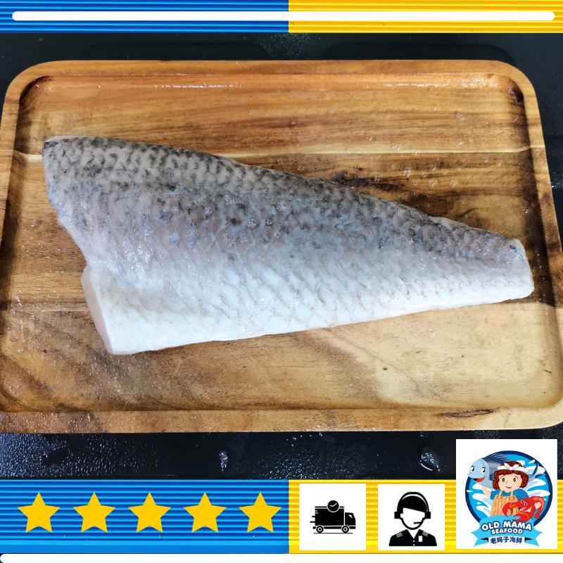 Indonesia Golden Snapper Fillet / 金枣鱼片无骨 (250-350gm/pcs) Isi Ikan ...