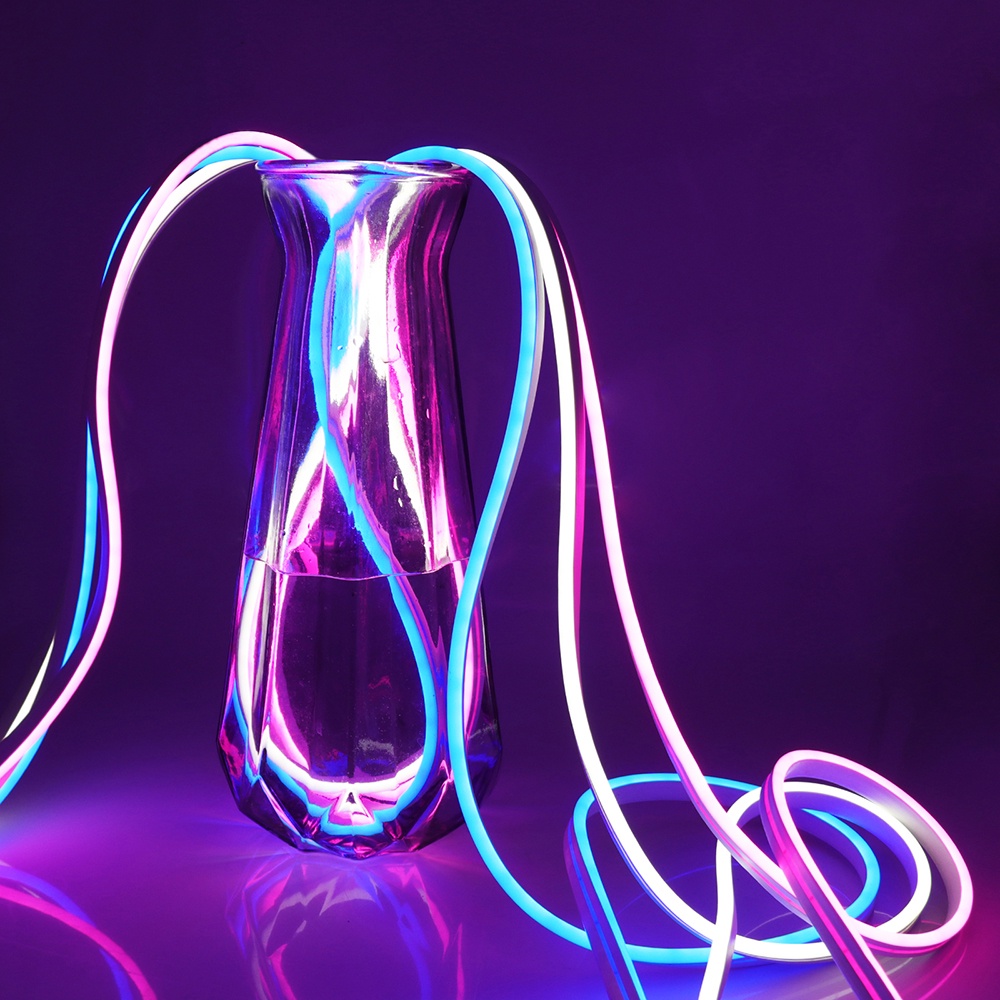 DC 12V LED Neon Strip Rope Light Neon Sign Flexible Lamp 2835 120LEDs/m ...