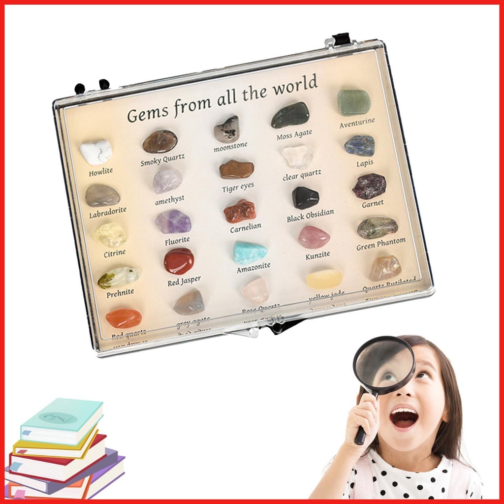 Rock Collection Natural Rocks and Minerals Education Set Educational ...