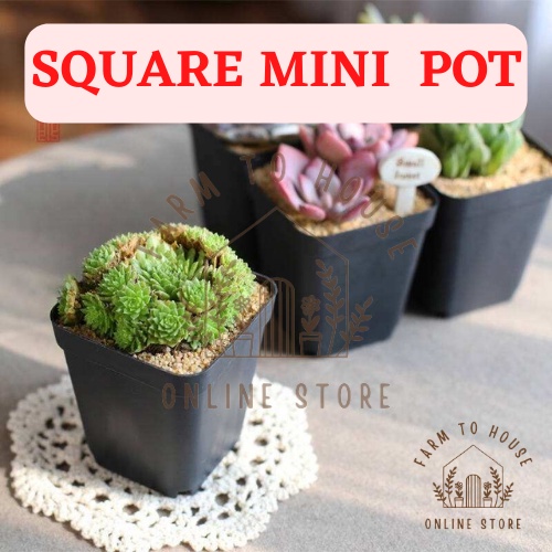 6.5CM Square Plastic Pot Black White Square Mini Pot Planting Pot with ...