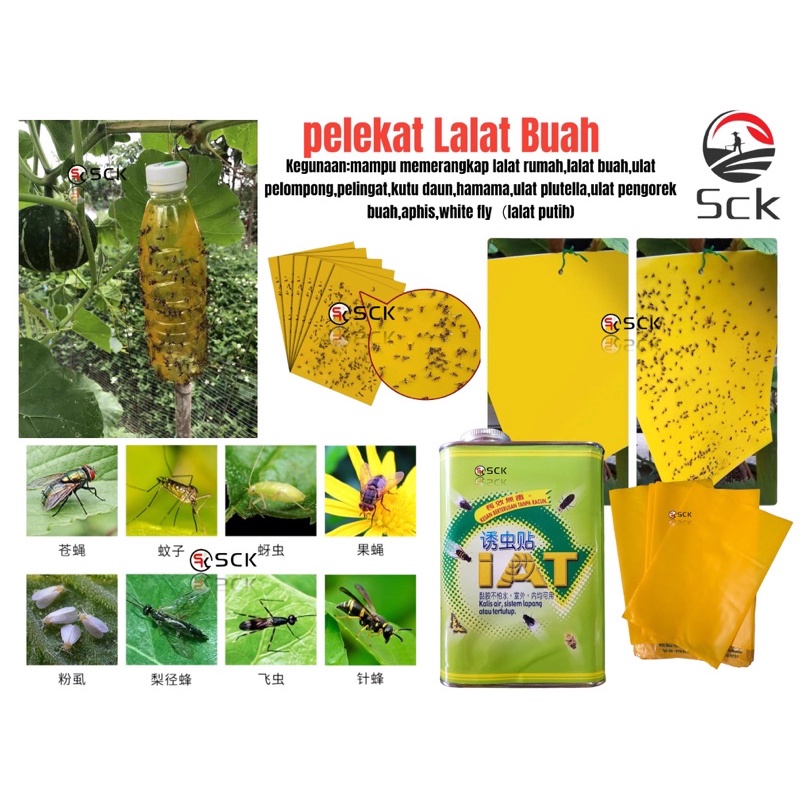 500ML Gam Pelekat IAT+ 1kg plastik Polybag kuning|pemikat perangkap ...