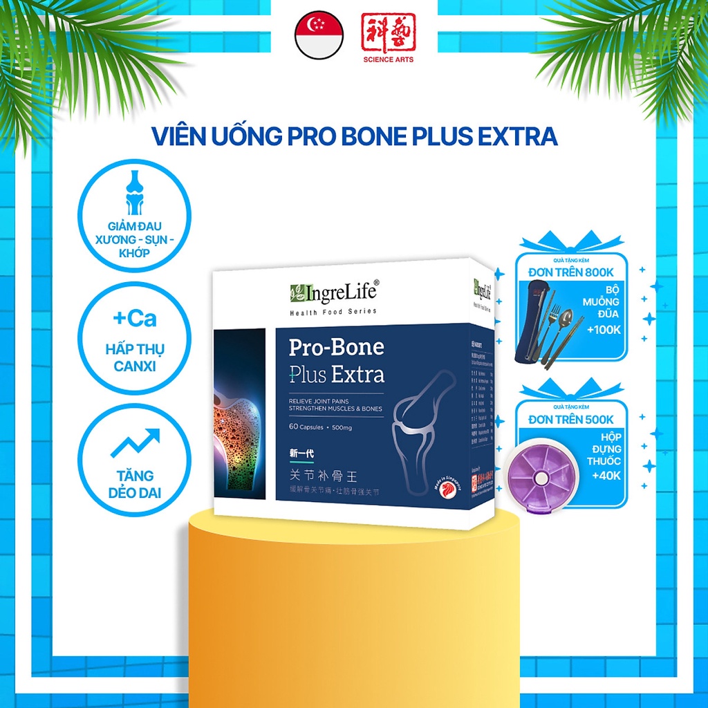 Ingrelife Singapore Bone And Joint Tablets Help Strengthen Bones And ...
