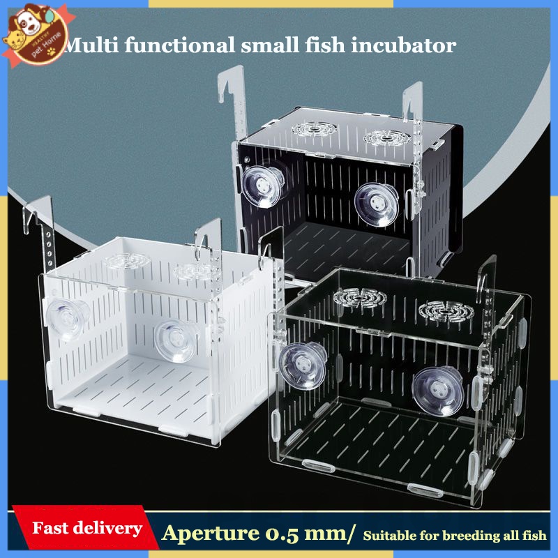 Acrylic Isolation Box Fish Tank Small Fish Seedling Incubator Mini ...