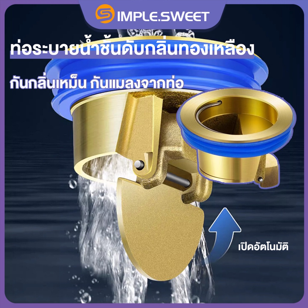 Ss. Ss.leak Stopper One-Way Valve Floor Drain Made Of Brass Water Cover ...