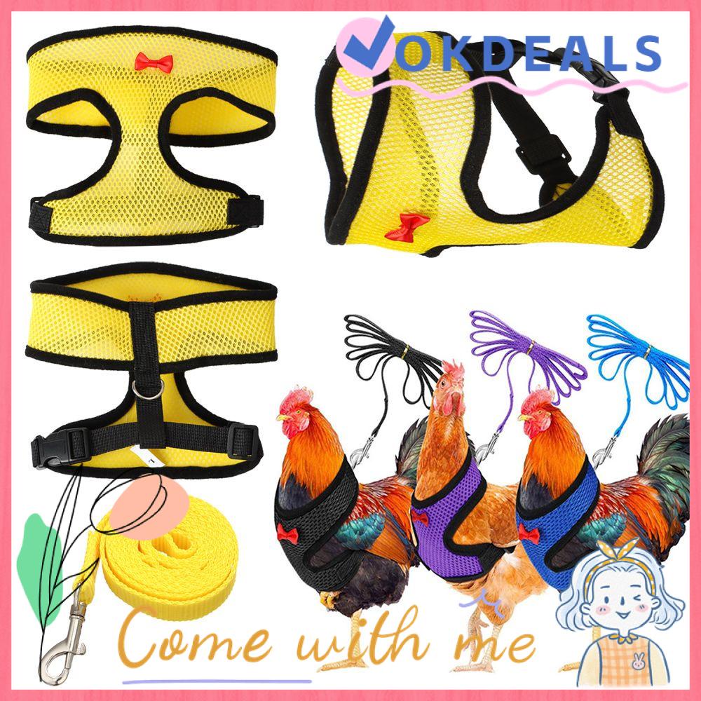 OKDEALS Chicken Vest Best Training Walking Adjustable Pet Matching ...