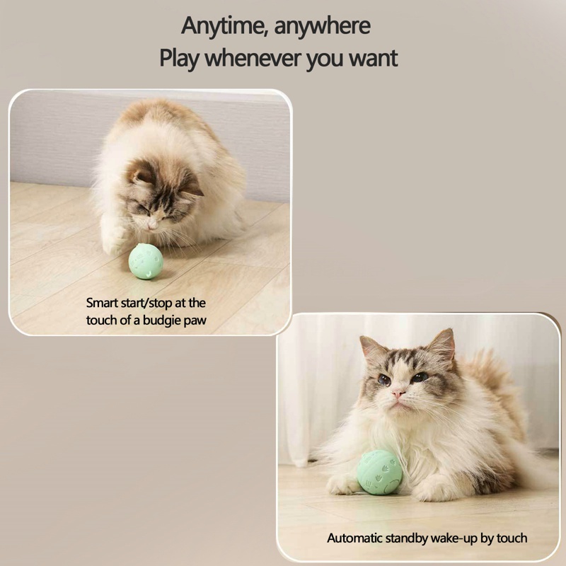 Razy Ball Interactive Cat Toy Self-Moving Kitten Jumping Ball Toys ...