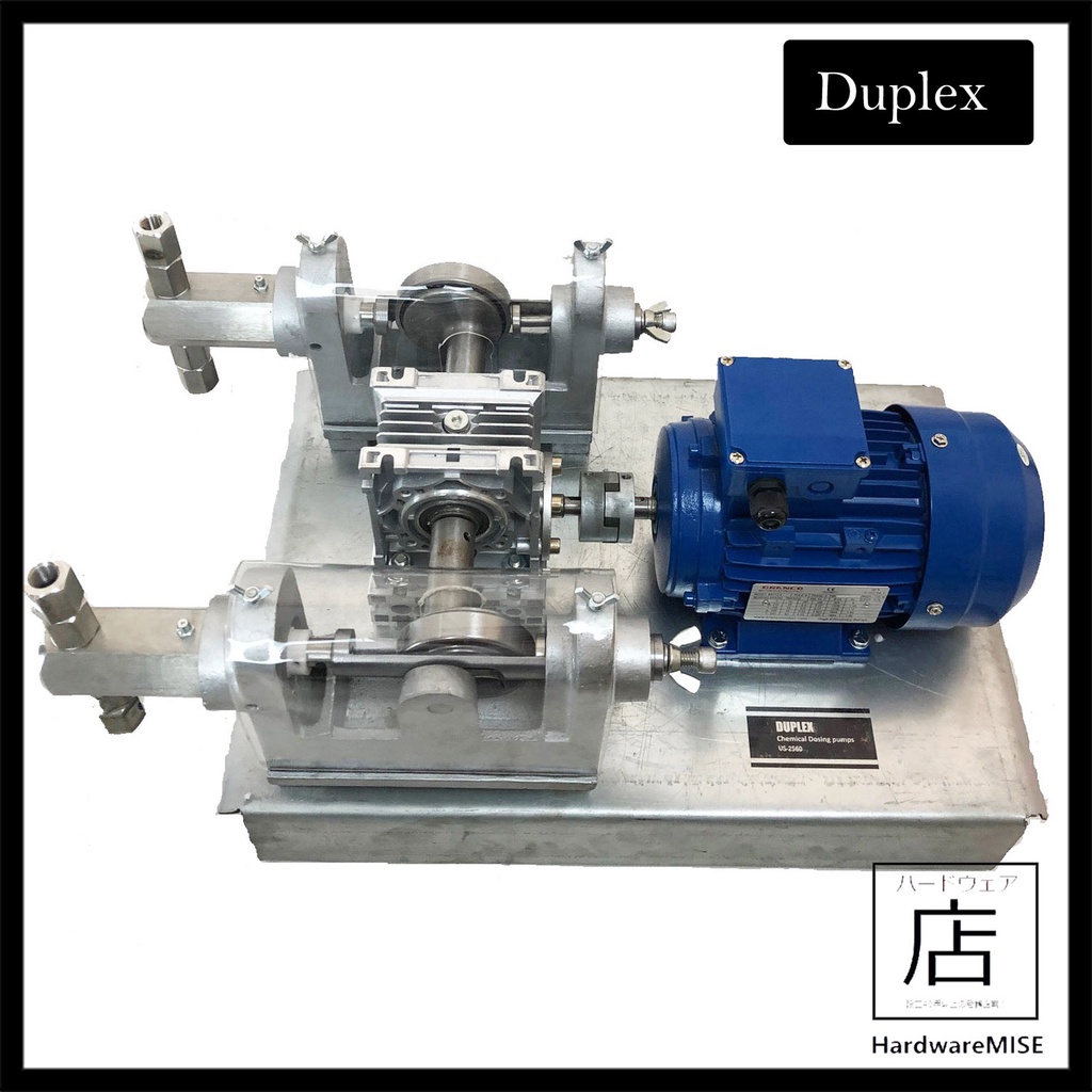 Chemical Dosing Pump Metering Pumps Chemitron Duplex Acid Dosing System ...