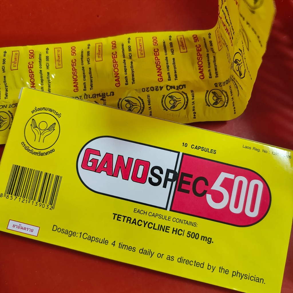 Thailand Ganospec 500 1box 10 pcs | Shopee Malaysia