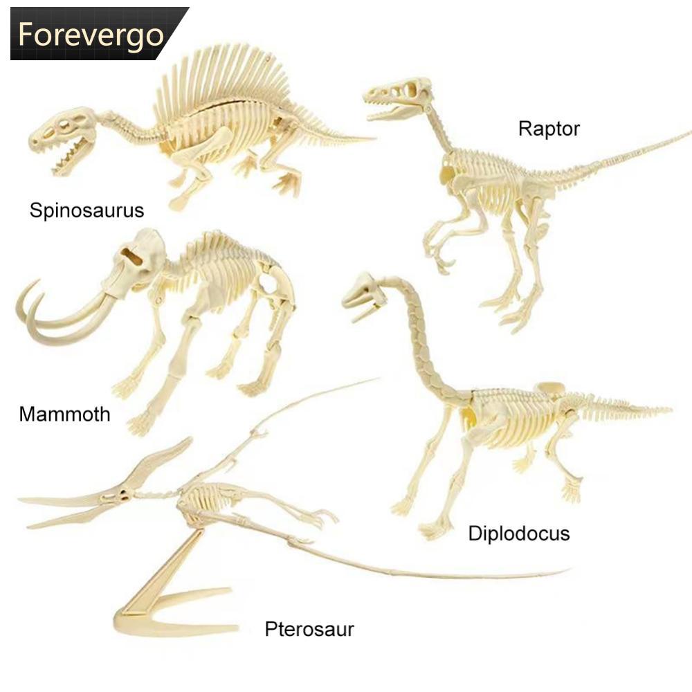 FOREVERGO Simulation Dinosaur Fossil Plastic Skeleton Model Children's ...