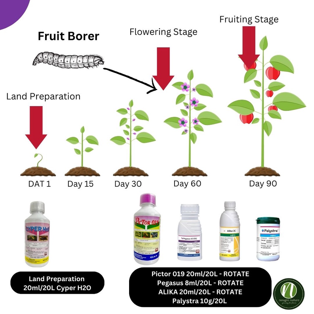 PICTOR 019 (1L) Emamectin Benzoate 2.2% Insecticide - Racun Ulat ...