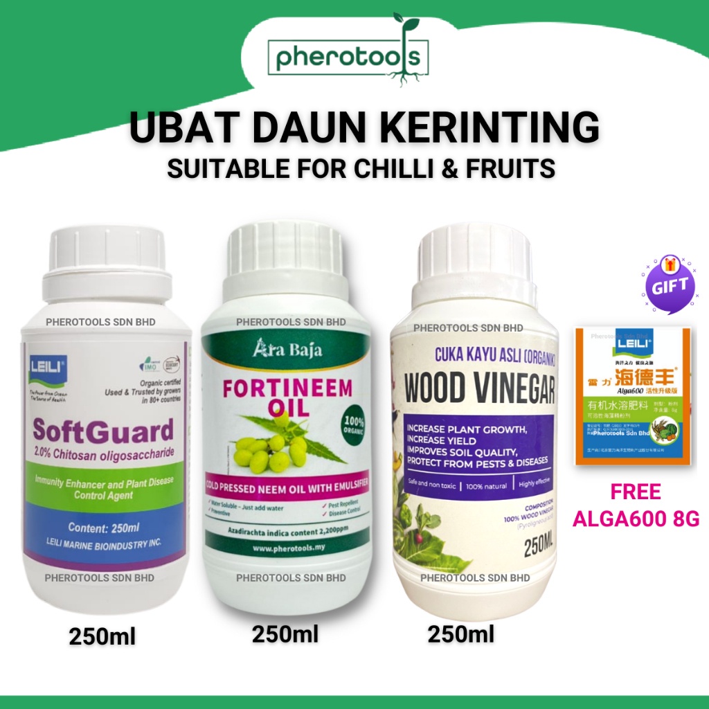 Pherotools Ubat Daun Cili Kerinting(Kitosan, Cuka Kayu, Neem Oil)250ml ...