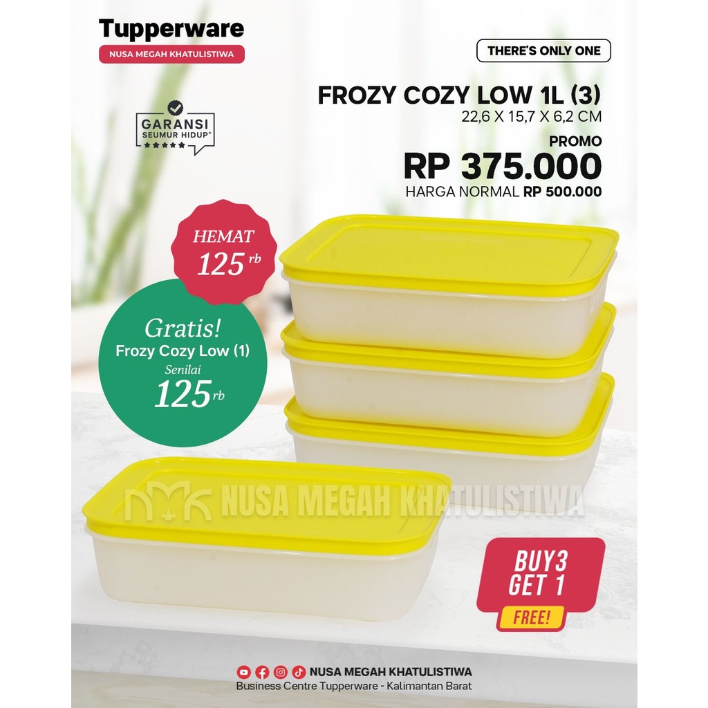 Tupperware Chill Freeze Set 450ml / 1.1L /170ml (1/2/4pcs) | Shopee ...