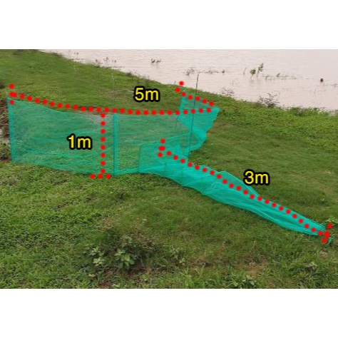 Nets Block Rivers, Sewers - Catch Shrimp All Types Of Fish - Fish, Crab ...