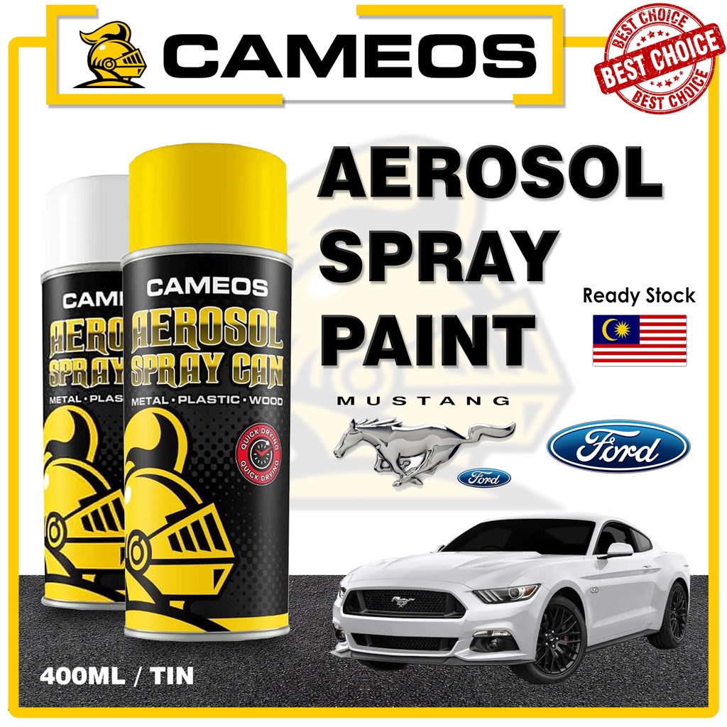 FORD MUSTANG - Car Spray Paint - Aerosol Paint - Spray Paint Repair Kit ...