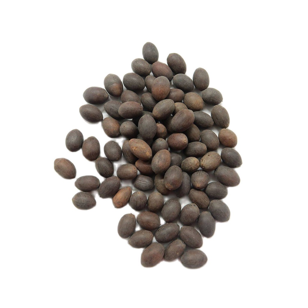 Big Lotus Seed Original Beads | Shopee Malaysia
