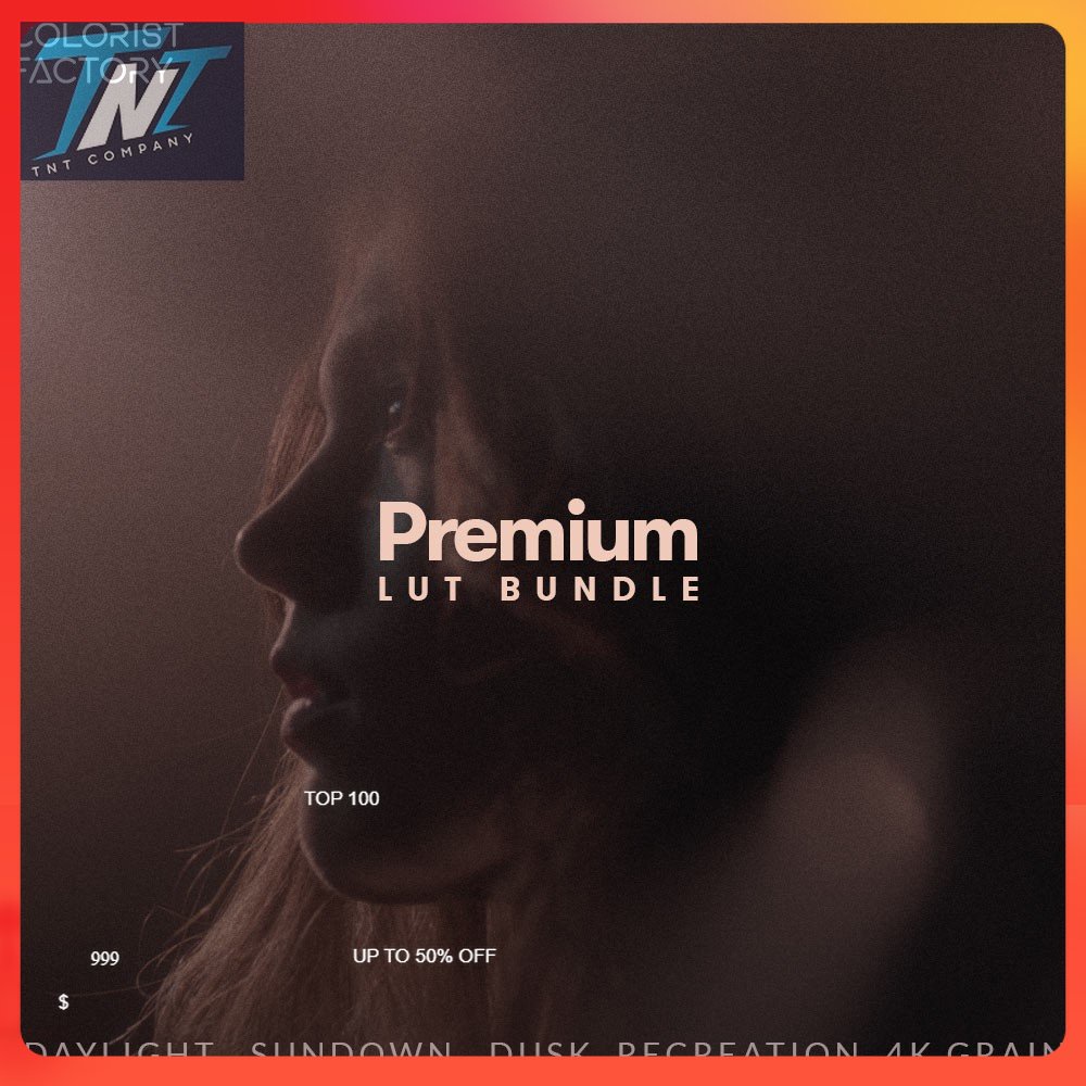 Premium LUT Bundle and 4K Grain Digital Remaster [download] | Shopee Malaysia