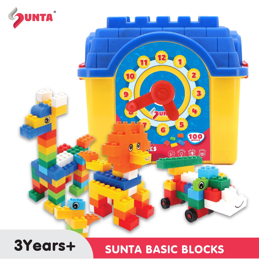 SUNTA 100pcs Non-toxic Early Learning DIY Basic Building Blocks with ...
