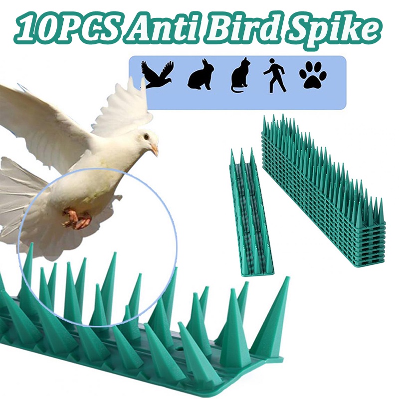 10PCS Anti Bird Spike Weather Resistant Durable Cat Squirrel Deterrent ...