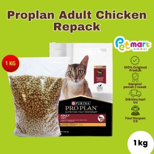Adult Dry Cat food Proplan Cat Chicken & Rice Repack Adult Dry food 1 ...