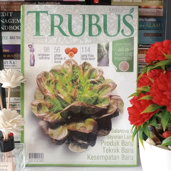 ORIGINAL MAJALAH BUNDEL TRUBUS 2013 EDITION | Shopee Malaysia
