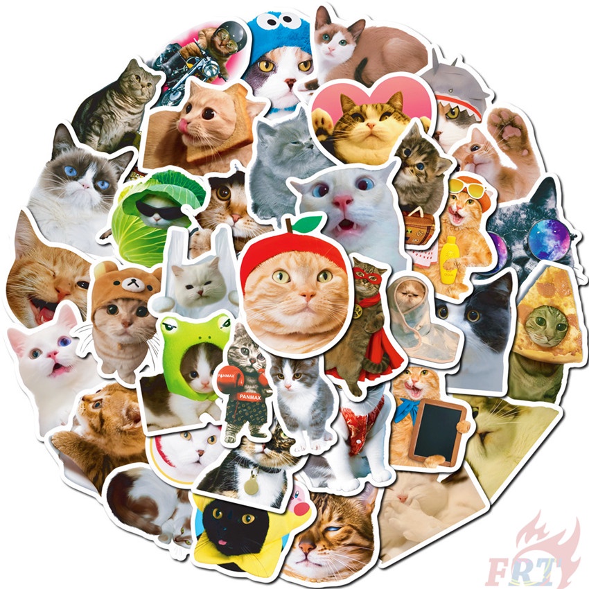 50Pcs/Set Funny Cats Cosplay Series 01 Stickers DIY Fashion Waterproof ...
