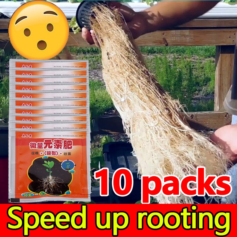 Rooting crazy！10 packs rooting king powder fast root rooting hormone ...
