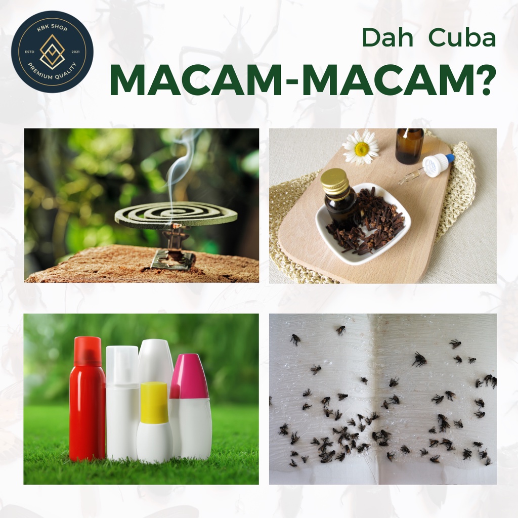 CAMAY Spray Serangga Organik Spray Lipas Semut Nyamuk Lalat Pokok Anai ...