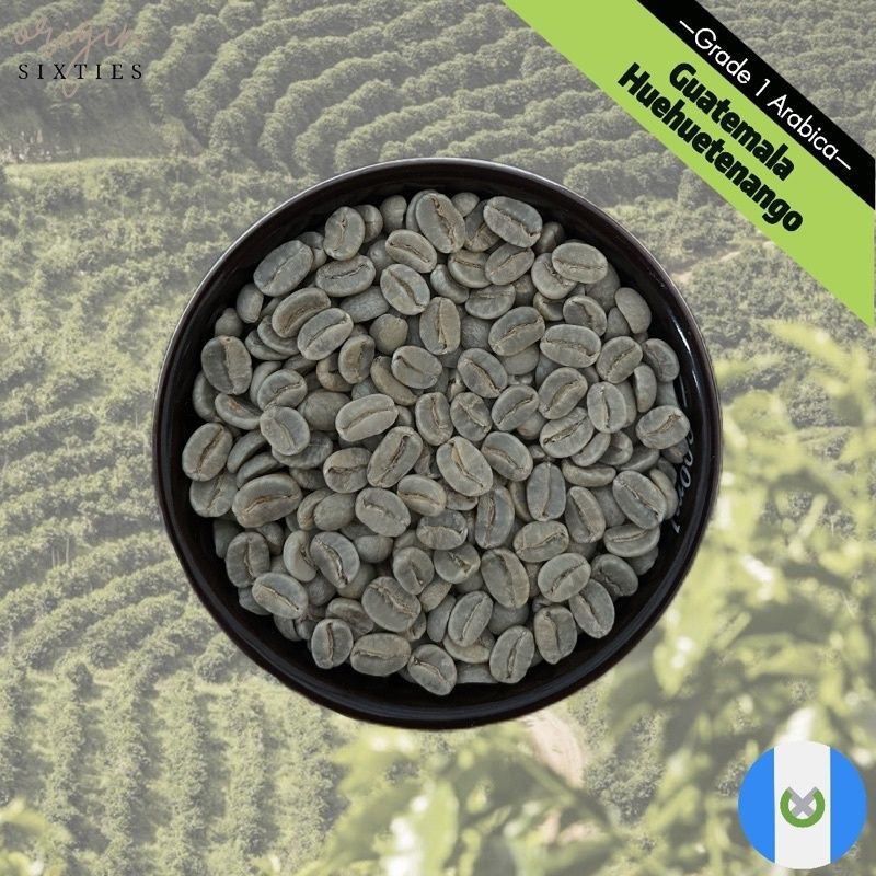 Guatemala SHB EP Huehuetenango Raw Unroasted Arabica Coffee Beans 500g 1k | Shopee Malaysia