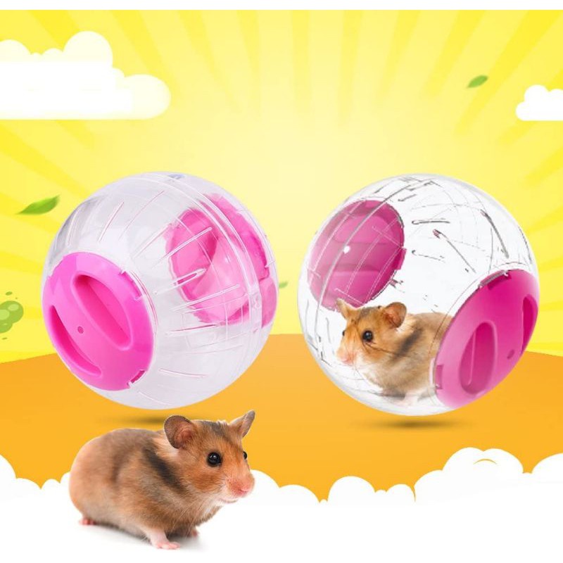 🔥Ready Stock🔥Hamster Exercise Ball Mini Fashion Plastic Gerbil Toy ...