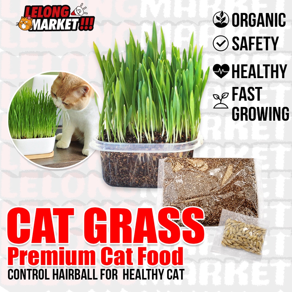 [Biji Benih Rumput Kucing Set] Premium Grade Cat Healthy Grass Organic ...