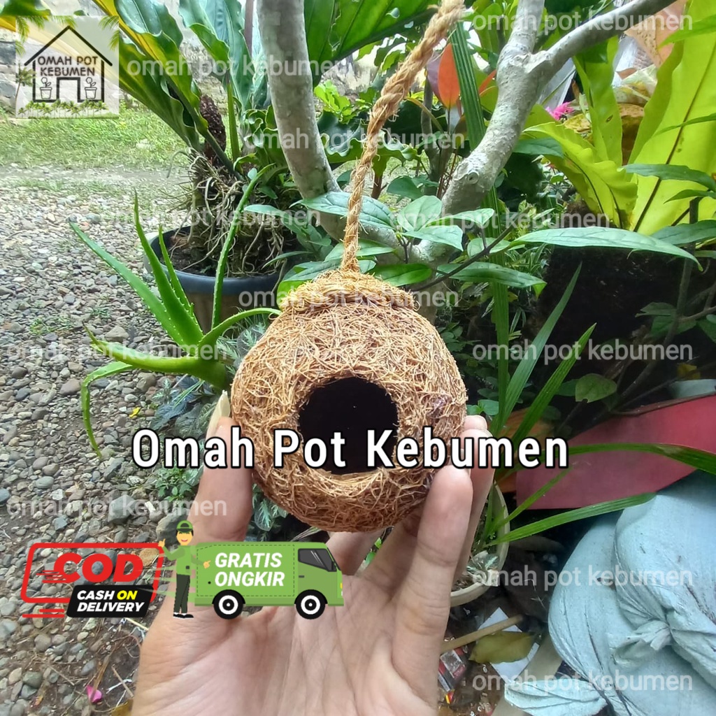 Spider Cave/Spider Cave/Spider Cave/Spider Hiding/Spider Hiding ...