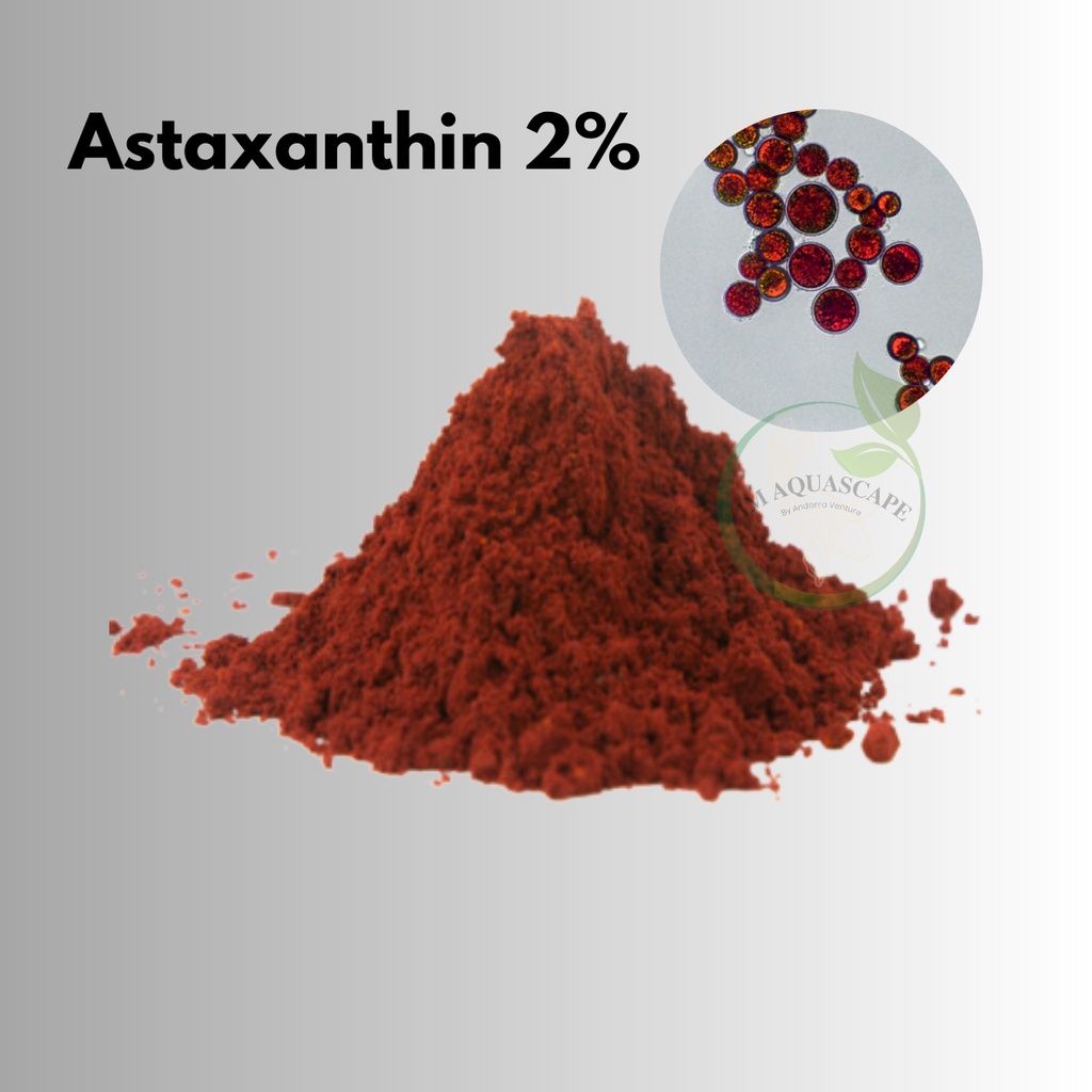 Astaxanthin Powder Serbuk Astaxanthin Fish Food Natural Fish Food Color ...