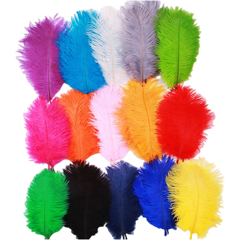 10Pcs 25-30cm Wholesale Artificial Ostrich Feathers for DIY Headdresses ...