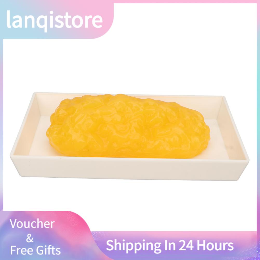 Lanqistore Human Fatty Tissue Model Demonstration Smooth Plastic 1lb ...