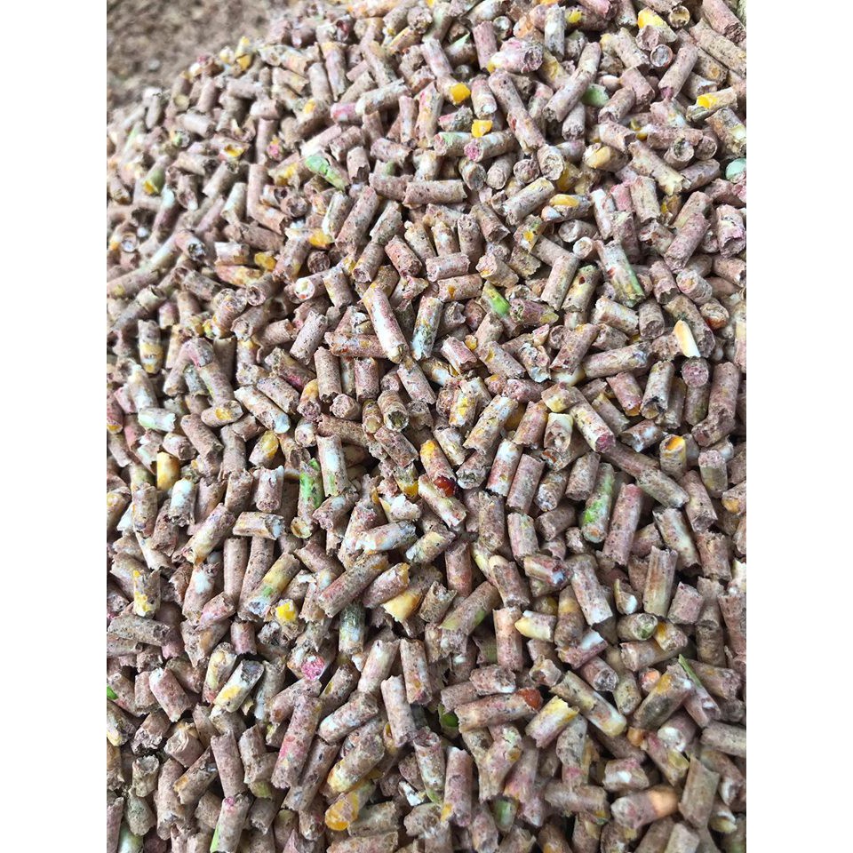 1kg Pressed Cereal Bran Pellets for Fighting Chickens Pressed Cereal ...