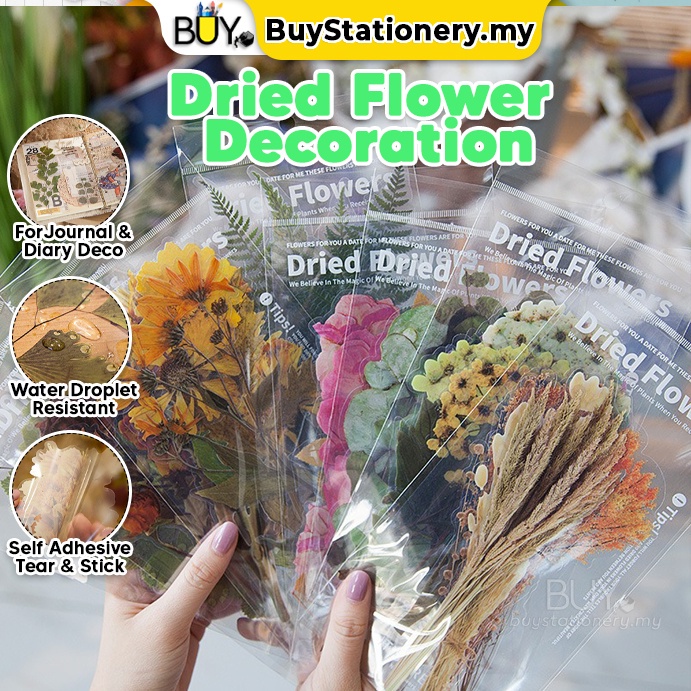 6pcs Aesthetic Dry Flower Sticker Journal Plant Decoration Minimalist ...