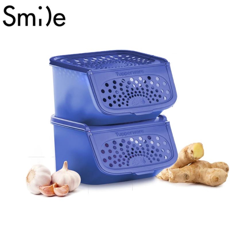 Tupperware Garlic N All 2.3L ( 1 pc ) | Shopee Malaysia