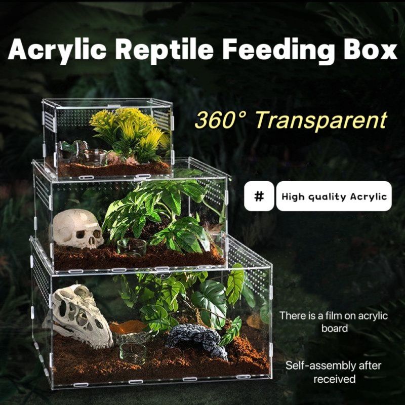 Reptile Acrylic Feeding Box Breeding Habitat Snake Spider Lizard ...