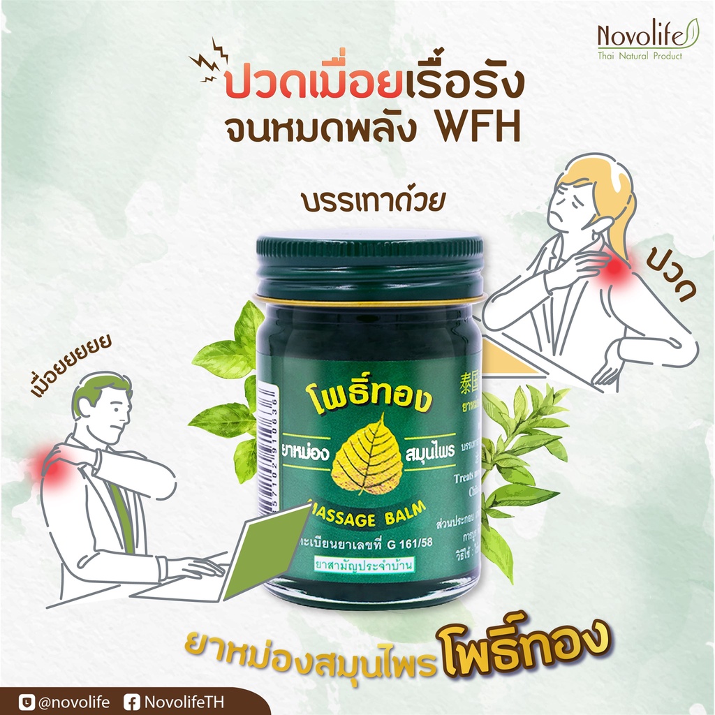 NovoLife PoTong Thai Cooling Green Herbal Massage Balm Aromatherapy 100 ...
