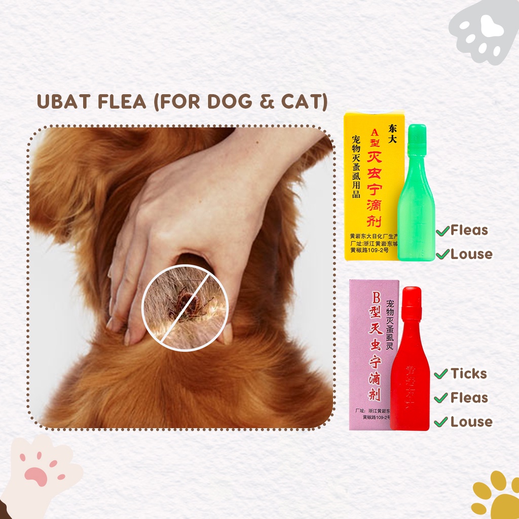Pet Flea Drop Dogs Cats Anti-Flea Anti Tick | Ubat Kutu Haiwan_UF ...