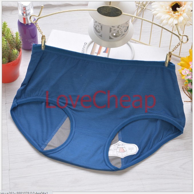 Seluar Dalam Kalis Bocor Haid(Menstrual Pantie) | Shopee Malaysia