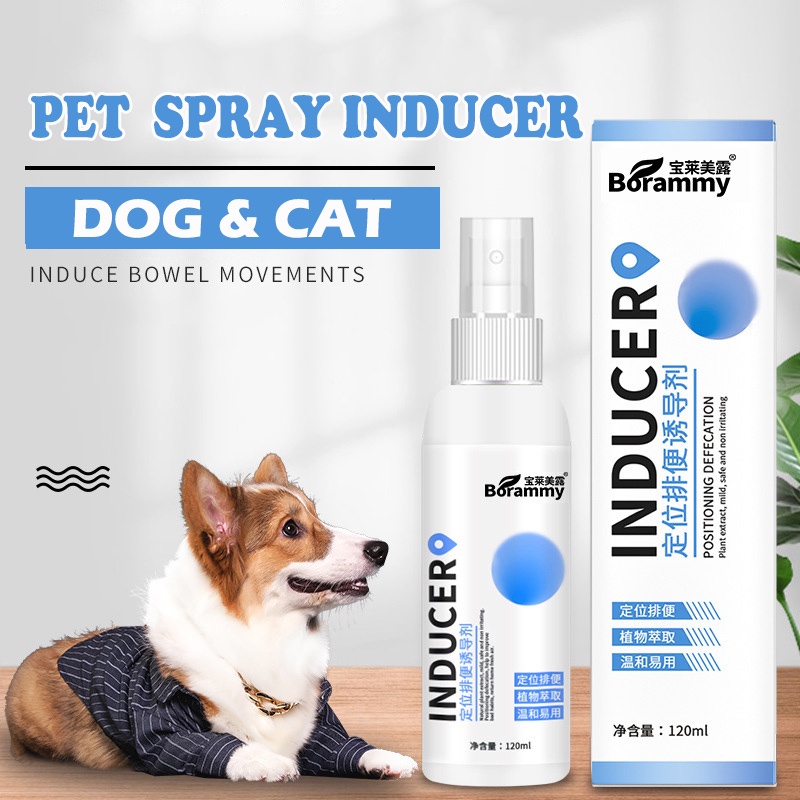 120ml Pet Dog Potty Toilet Training Inducer Tool Pee Spray Restricted ...
