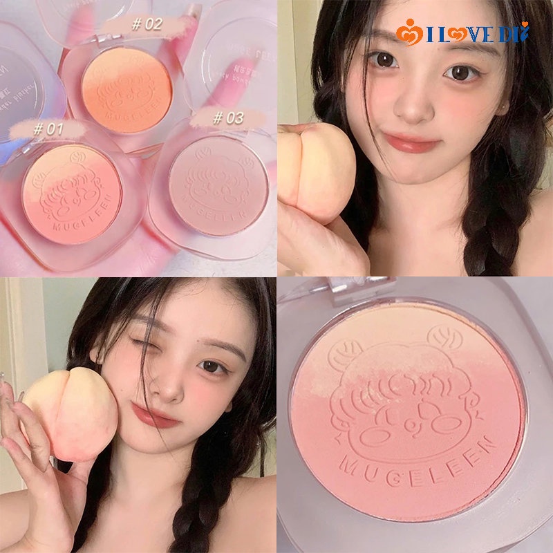 Gradient Delicate Natural Blush Palette/ Long-lasting Pink Orange Cheek ...