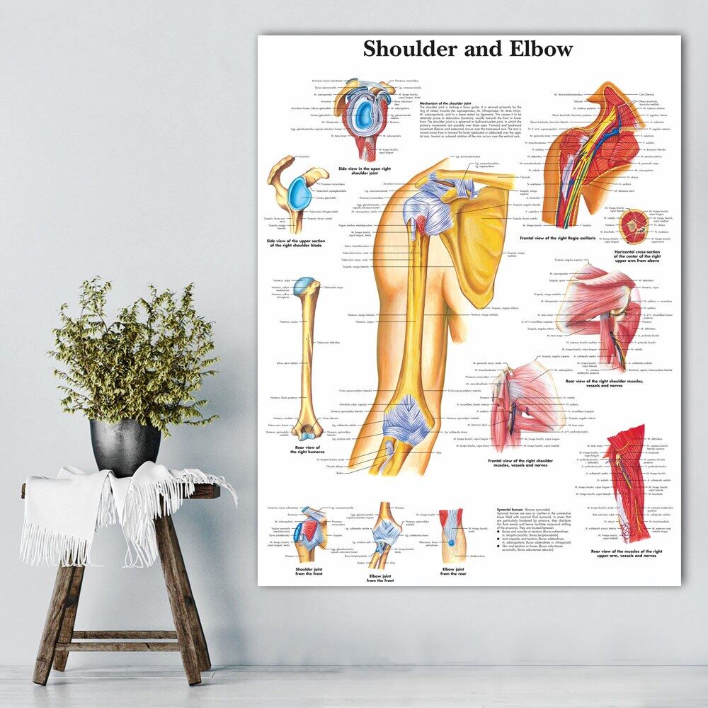 Canvas Paintings Wall Art Shoulder and Elbow Poster Modular Pictures ...